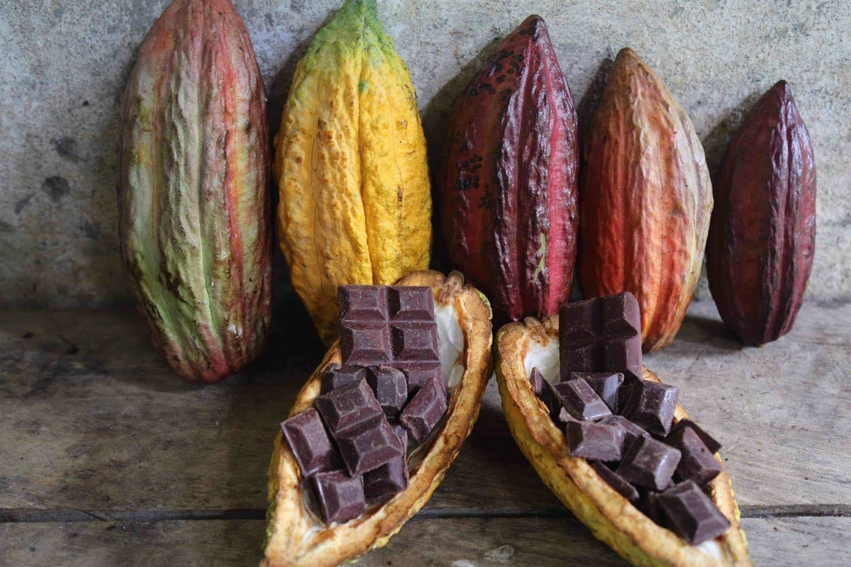 Chami Cacao – ClaudioNelda